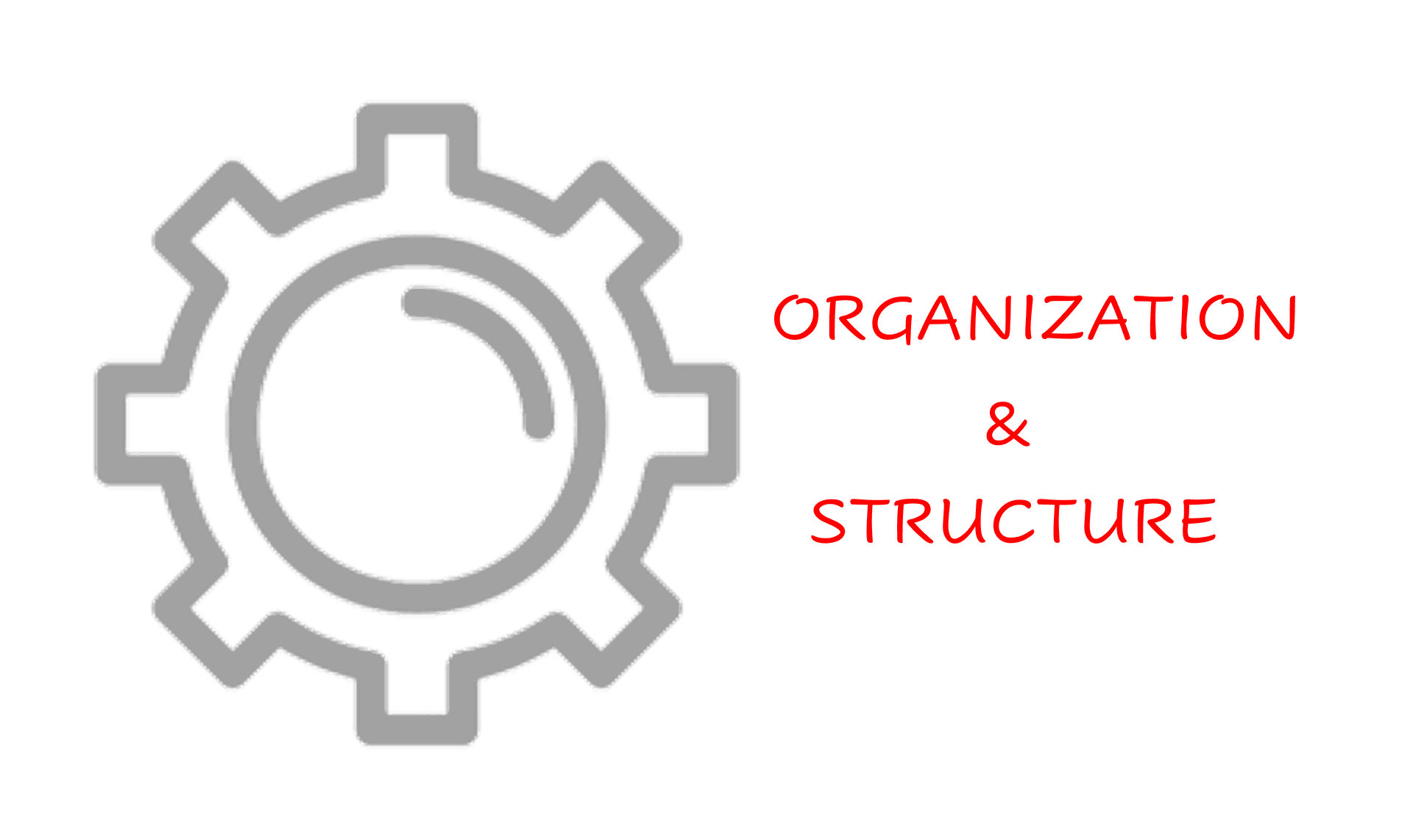 About Red Rad Republik